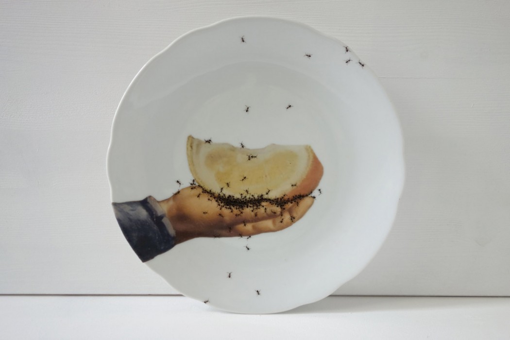 Hand-Painted Ants on Vintage Porcelain Plates by La PhilieArthaus