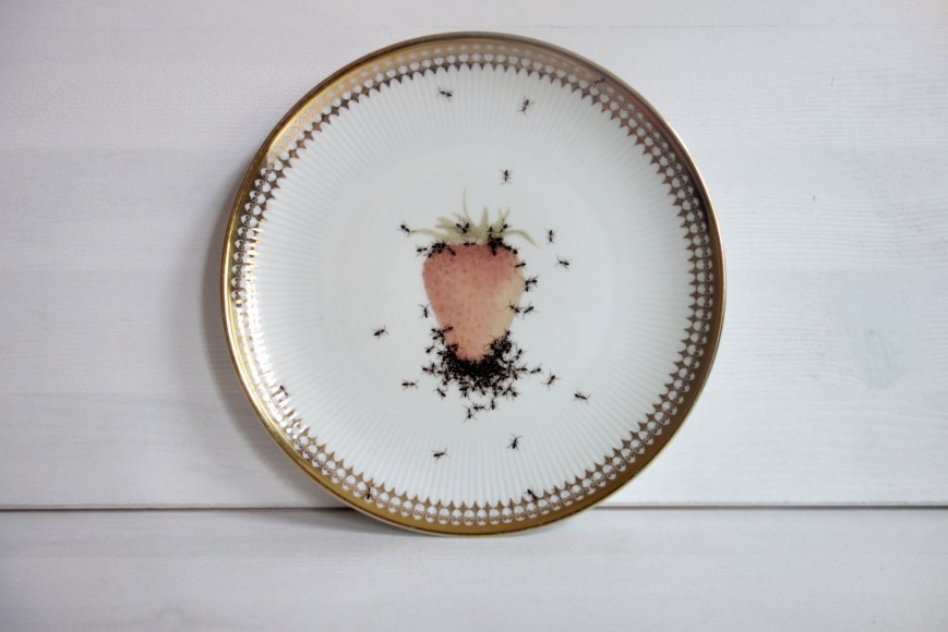 Hand-Painted Ants on Vintage Porcelain Plates by La PhilieArthaus