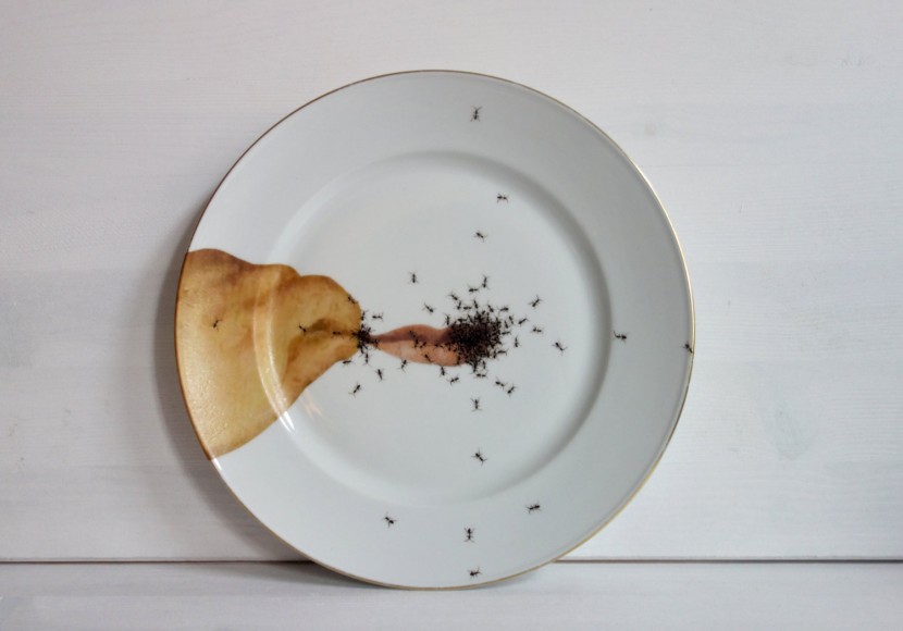 Hand-Painted Ants on Vintage Porcelain Plates by La PhilieArthaus