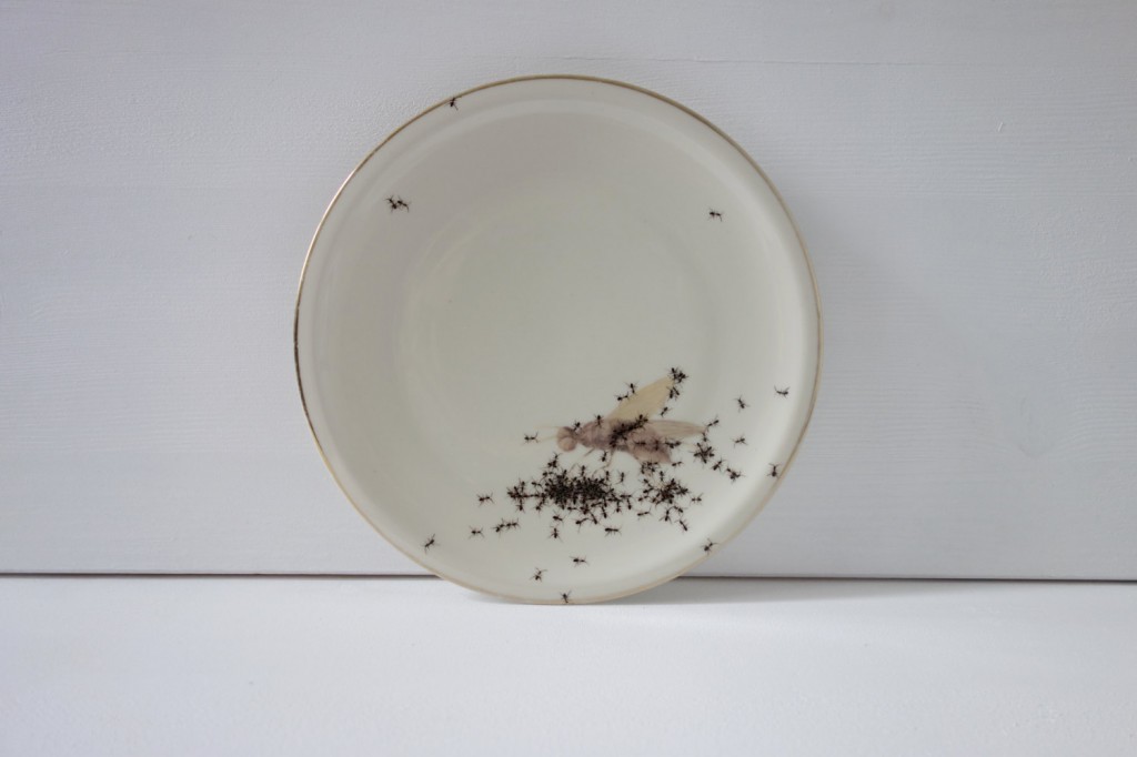 Hand-Painted Ants on Vintage Porcelain Plates by La PhilieArthaus